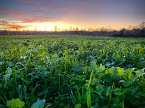 Plotmaster Hunter 400 | with Versa Seeder | Plow, Disc, Seed, Cultipac ...